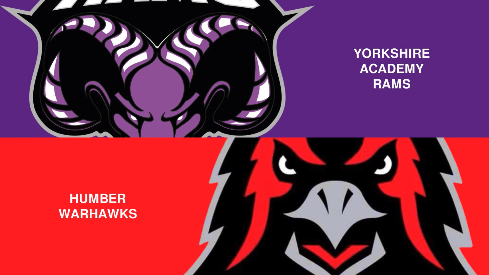 Yorkshire Academy Rams - Game Preview: v Humber Warhawks